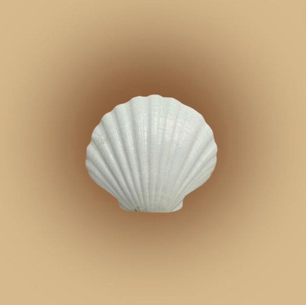 SIMULA PH - Sustainable & Local Shop in the Philippines – Simula PH